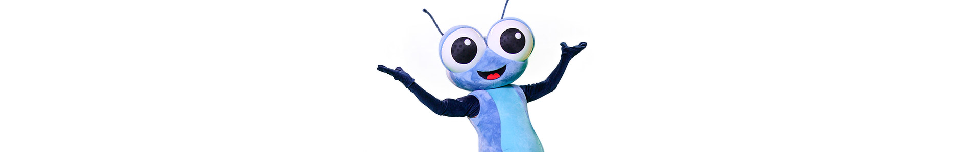 BOB ZOOM - Teatro Porto